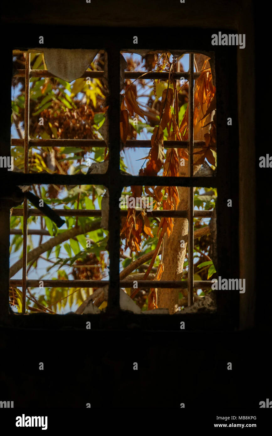 A window in a dark room looking out to the outside world Stock Photo ...