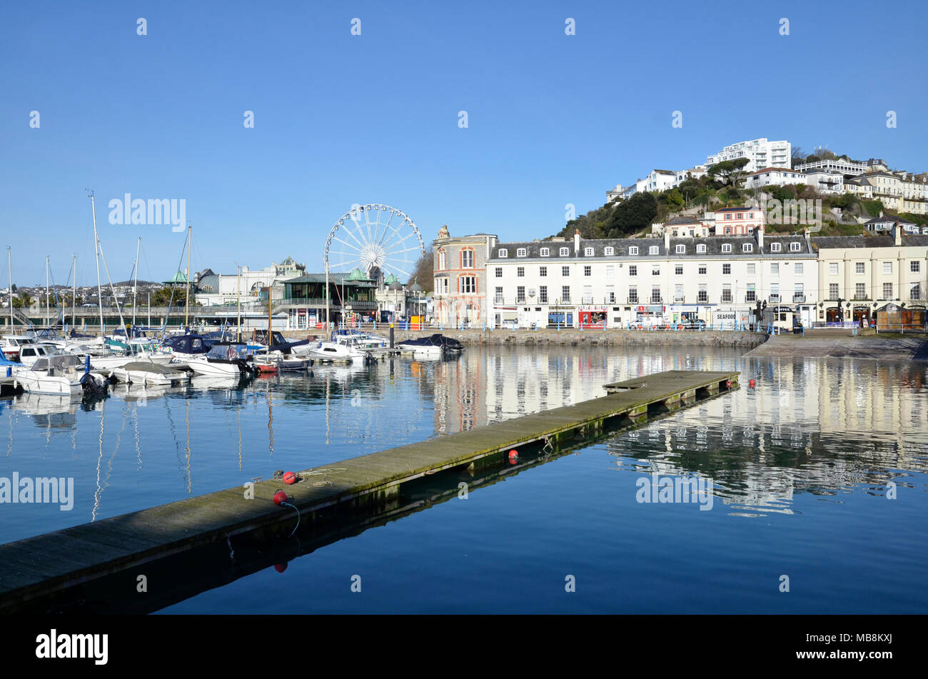 Torquay harbour and marina on the English Riviera in Devon Stock Photo ...