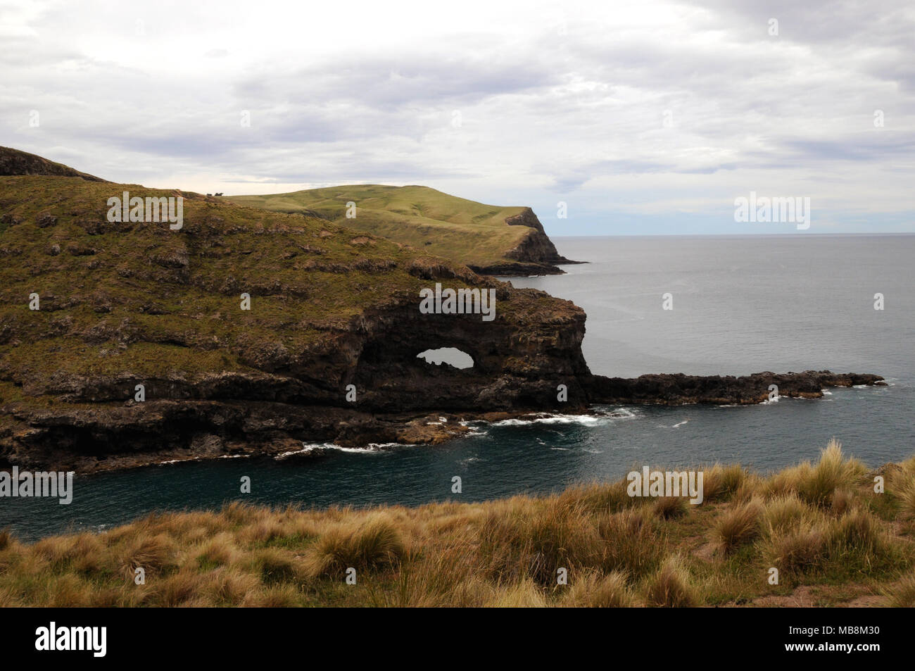 Flea bay south island new zealand hi-res stock photography and images ...