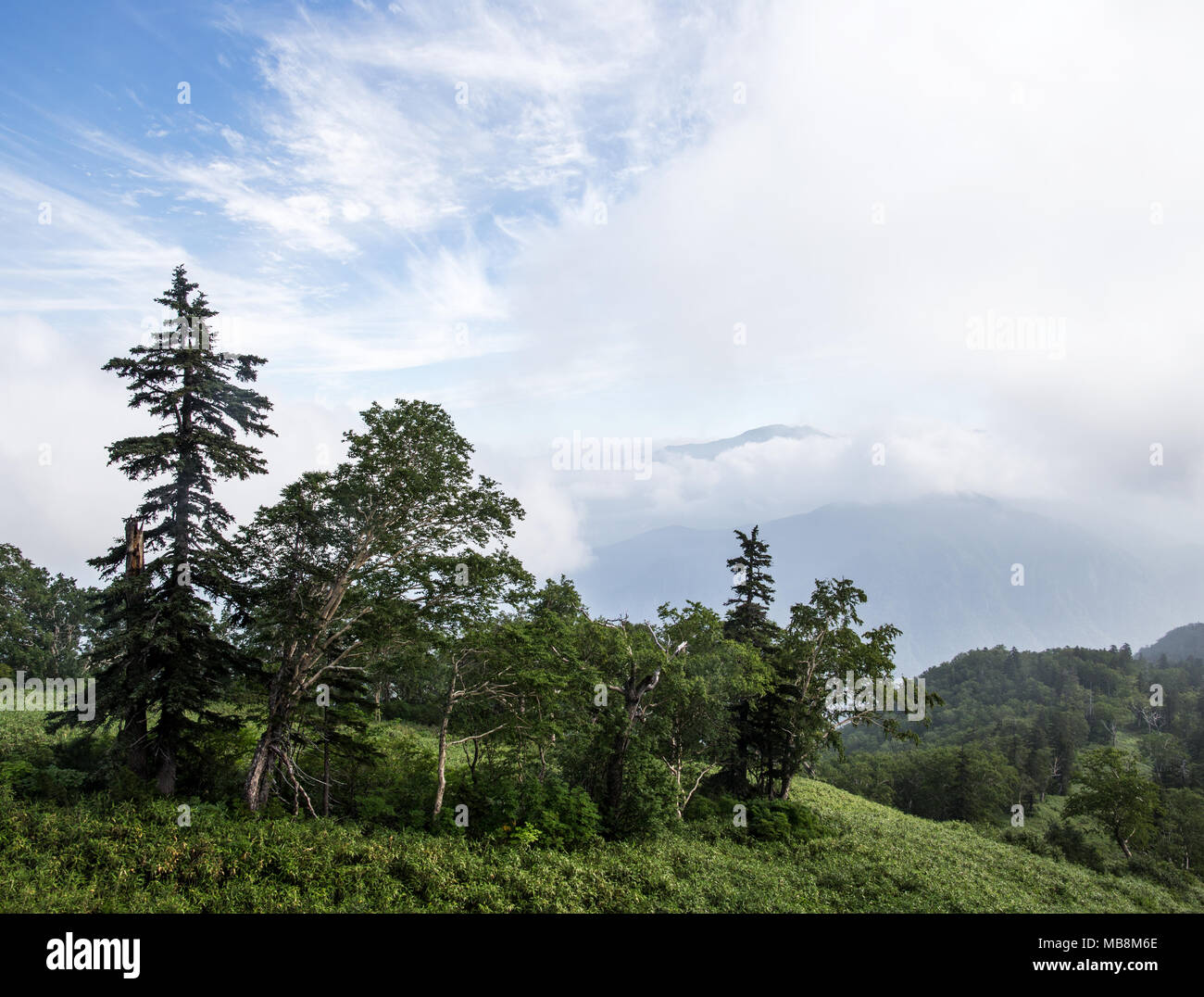 Japan kurodake ski hi-res stock photography and images - Alamy