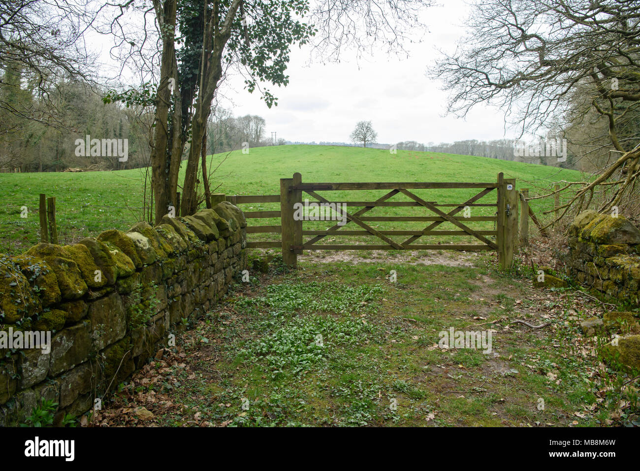 Stone wall and wooden gate in the English Countryside Stock Photo - Alamy