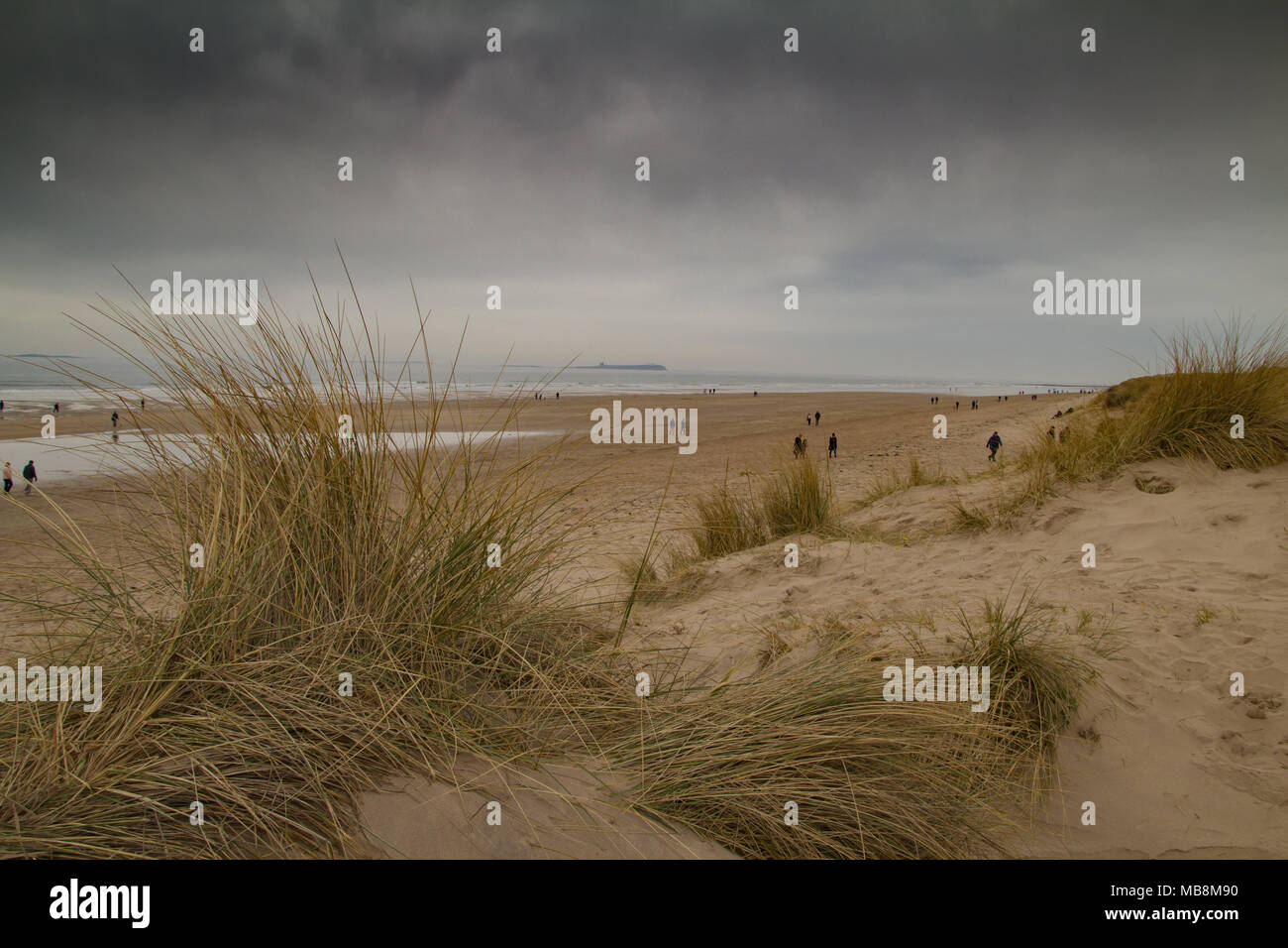 Rain on dunes hi-res stock photography and images - Alamy