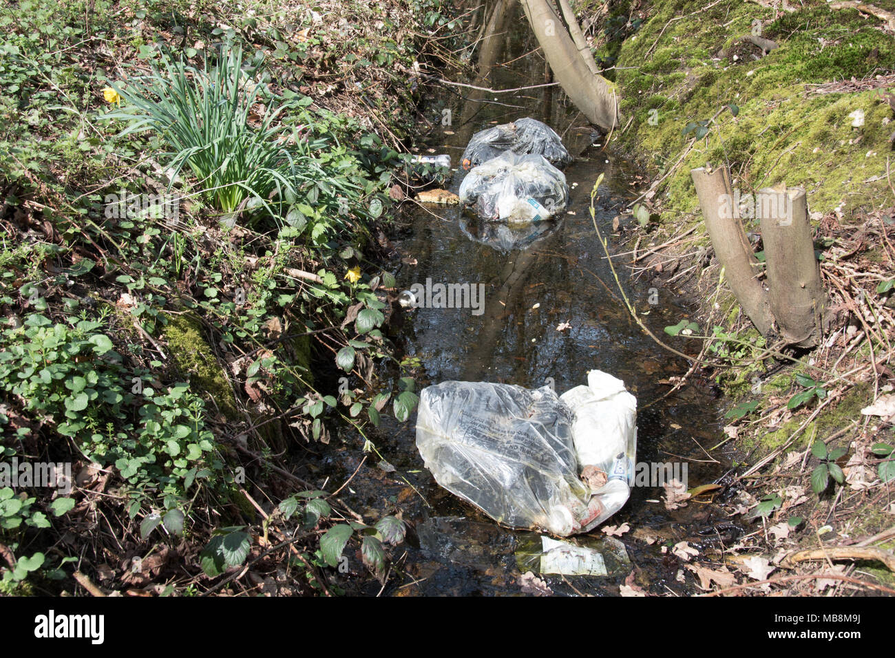 Litter in the Buckinghamshire countryside Stock Photo - Alamy
