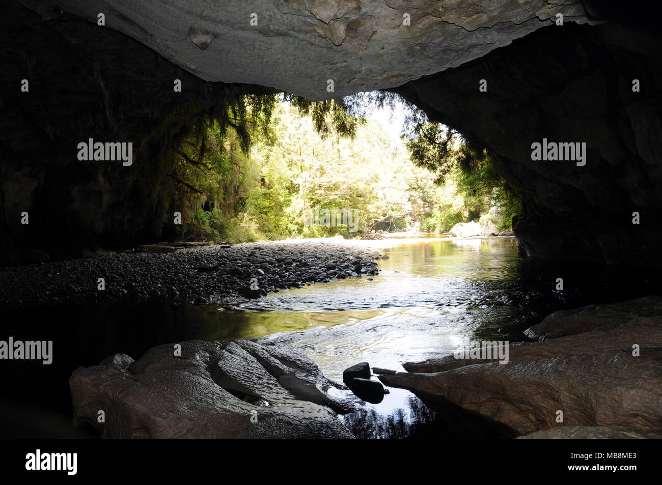 Moria Gate Arch in the Oparara Basin is a spectacular limestone arch ...