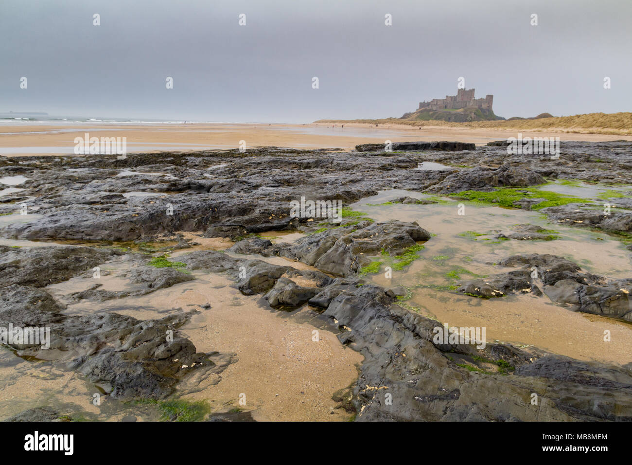 A misty wet day at Bamburgh beach Stock Photo - Alamy