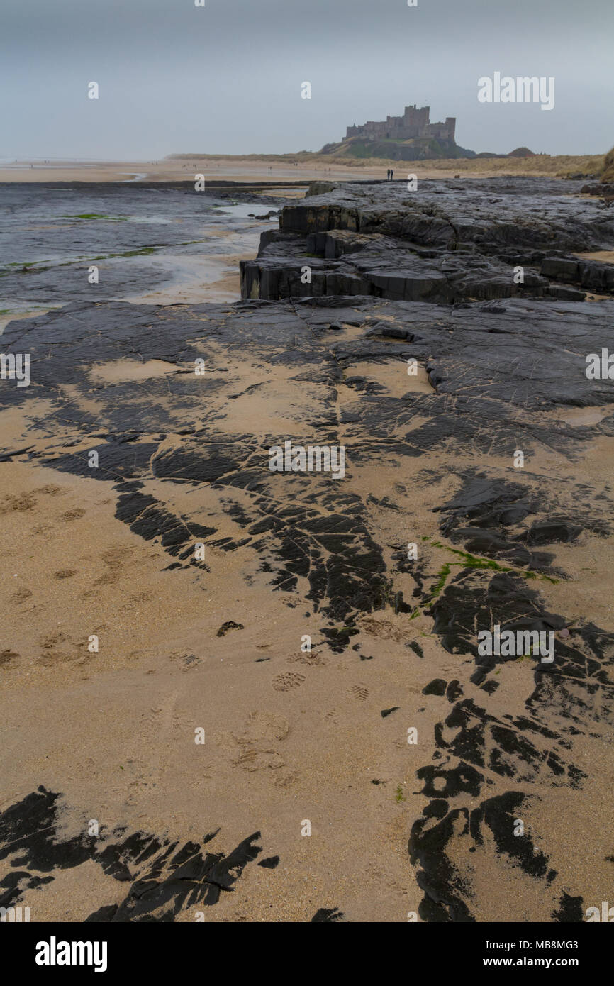 A misty wet day at Bamburgh beach Stock Photo - Alamy