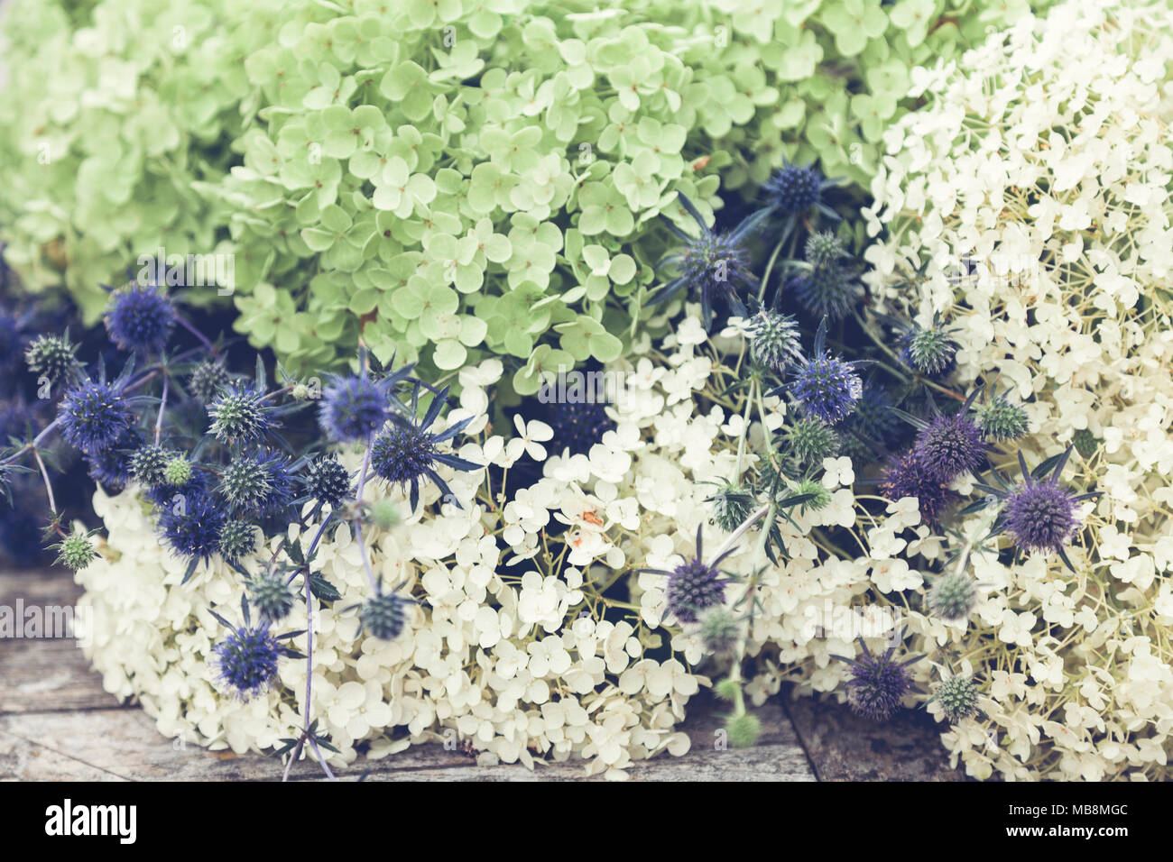 Hydrangea and sea holly bouquet detail Stock Photo - Alamy