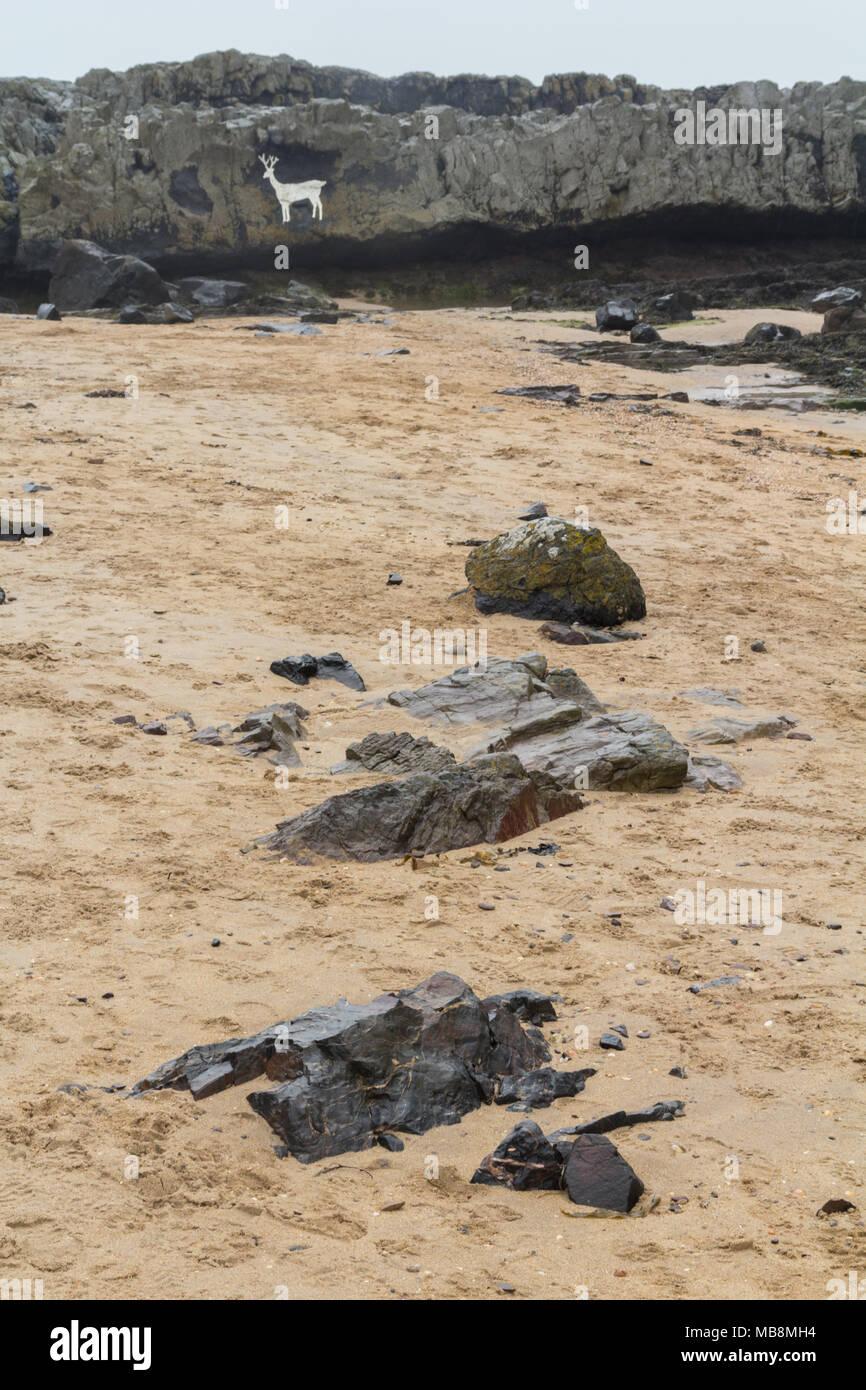 Stag rocks bamburgh northumberland hi-res stock photography and images ...