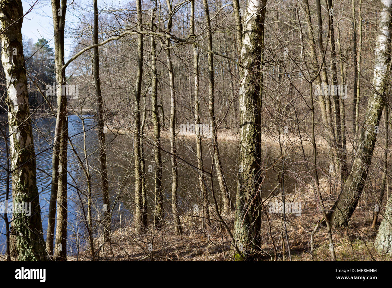 Spring 2000 hi-res stock photography and images - Alamy