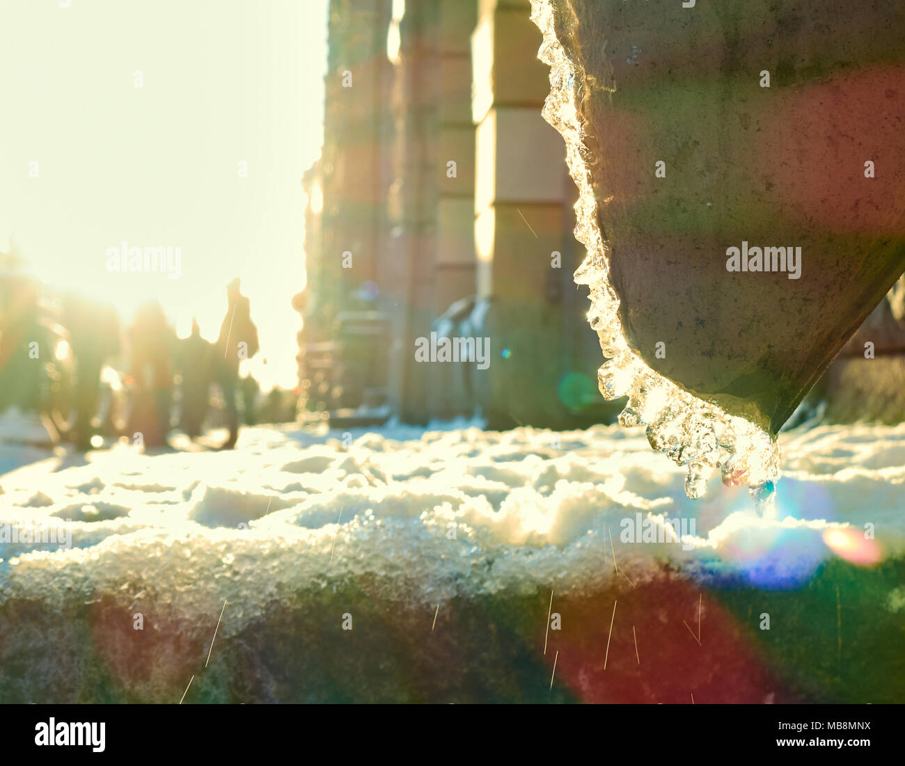 Ice and snow melting, water running down the pipe at the warm sunny ...