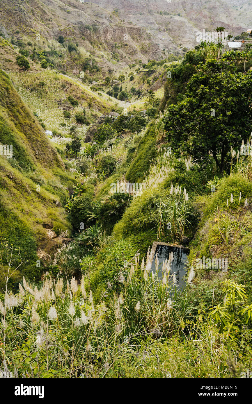Cape Verde. Landscape of vegetation and mountains and some local ...