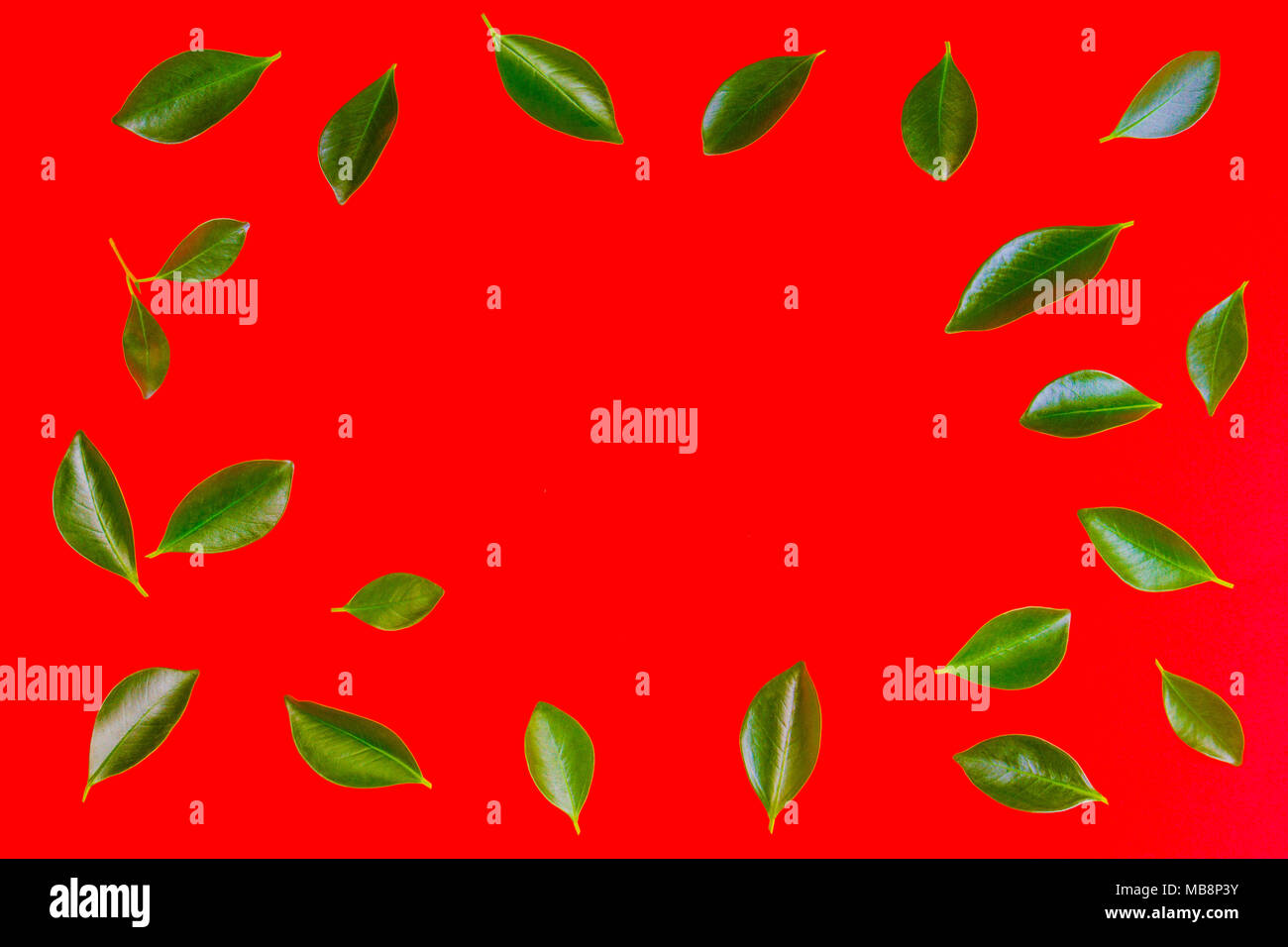 Green tree leaves frame with red background Stock Photo - Alamy