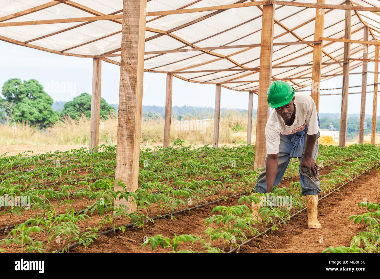 The farm angola hi-res stock photography and images - Alamy