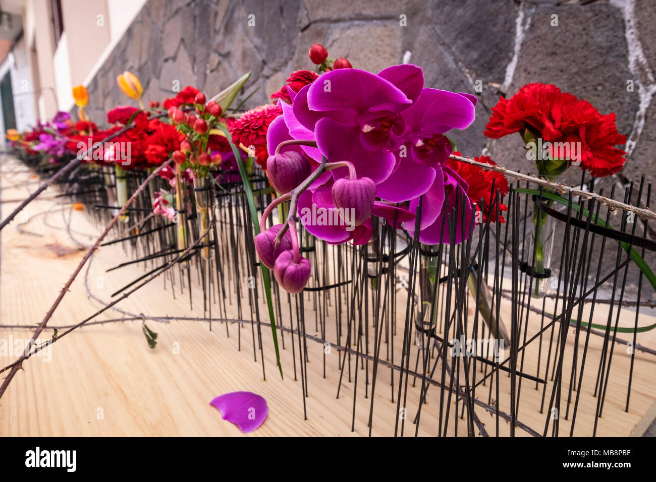 Displays of floral sculptural installations, Pascua Florida, Floral ...