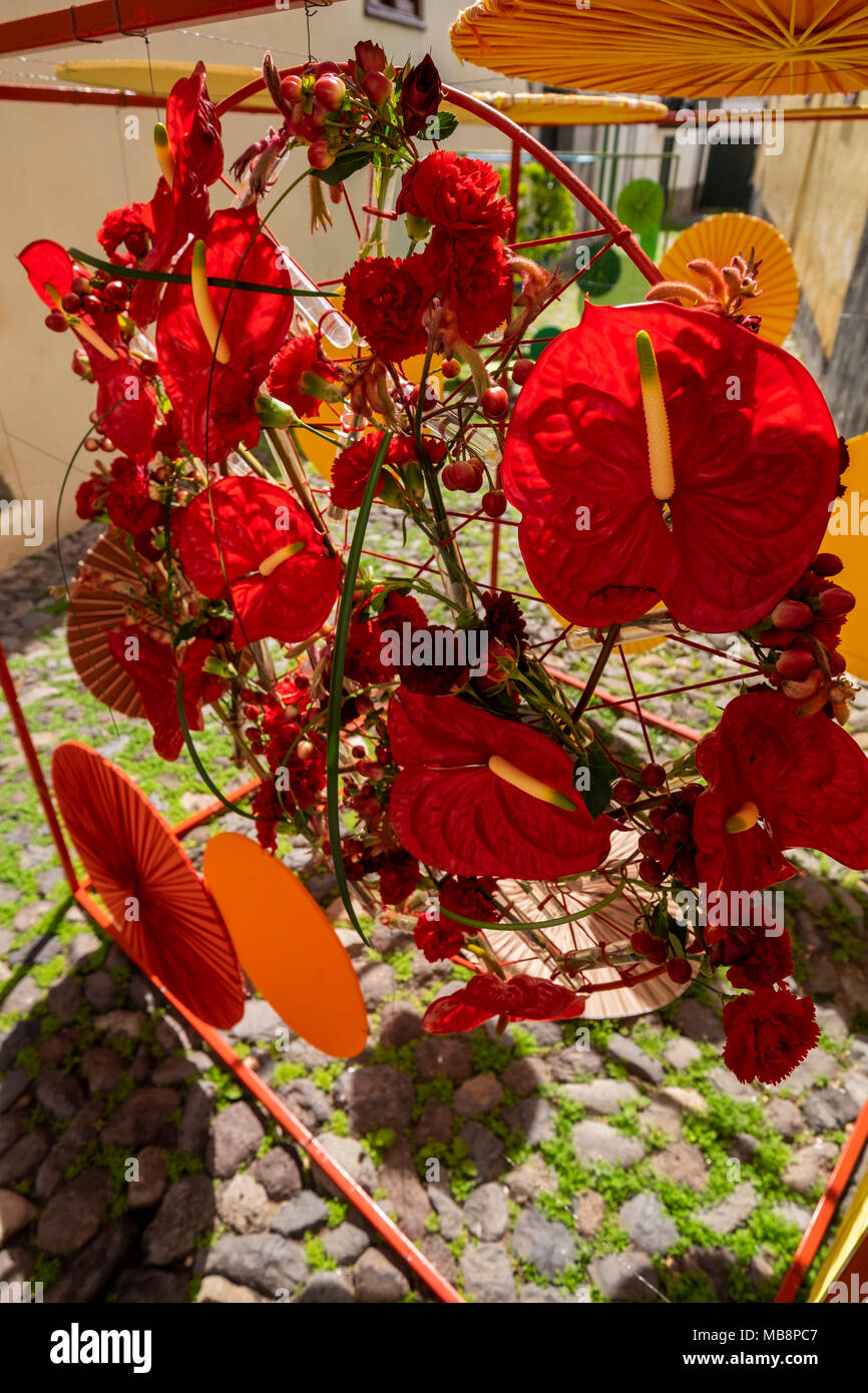 Displays of floral sculptural installations, Pascua Florida, Floral ...