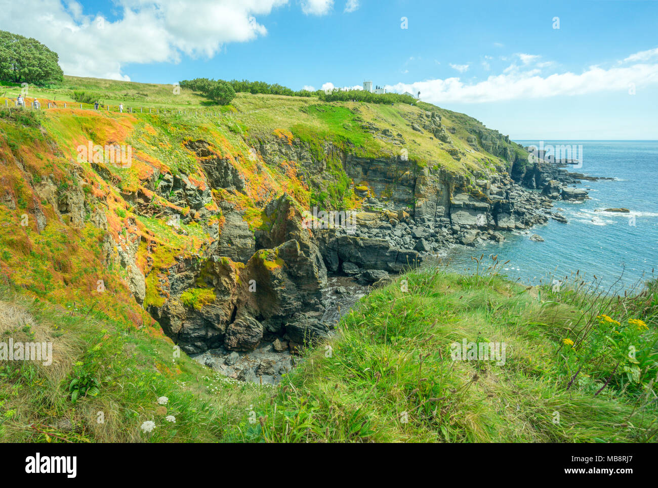 Part of the rugged cliffs of Lizard point, the penisular which is the ...