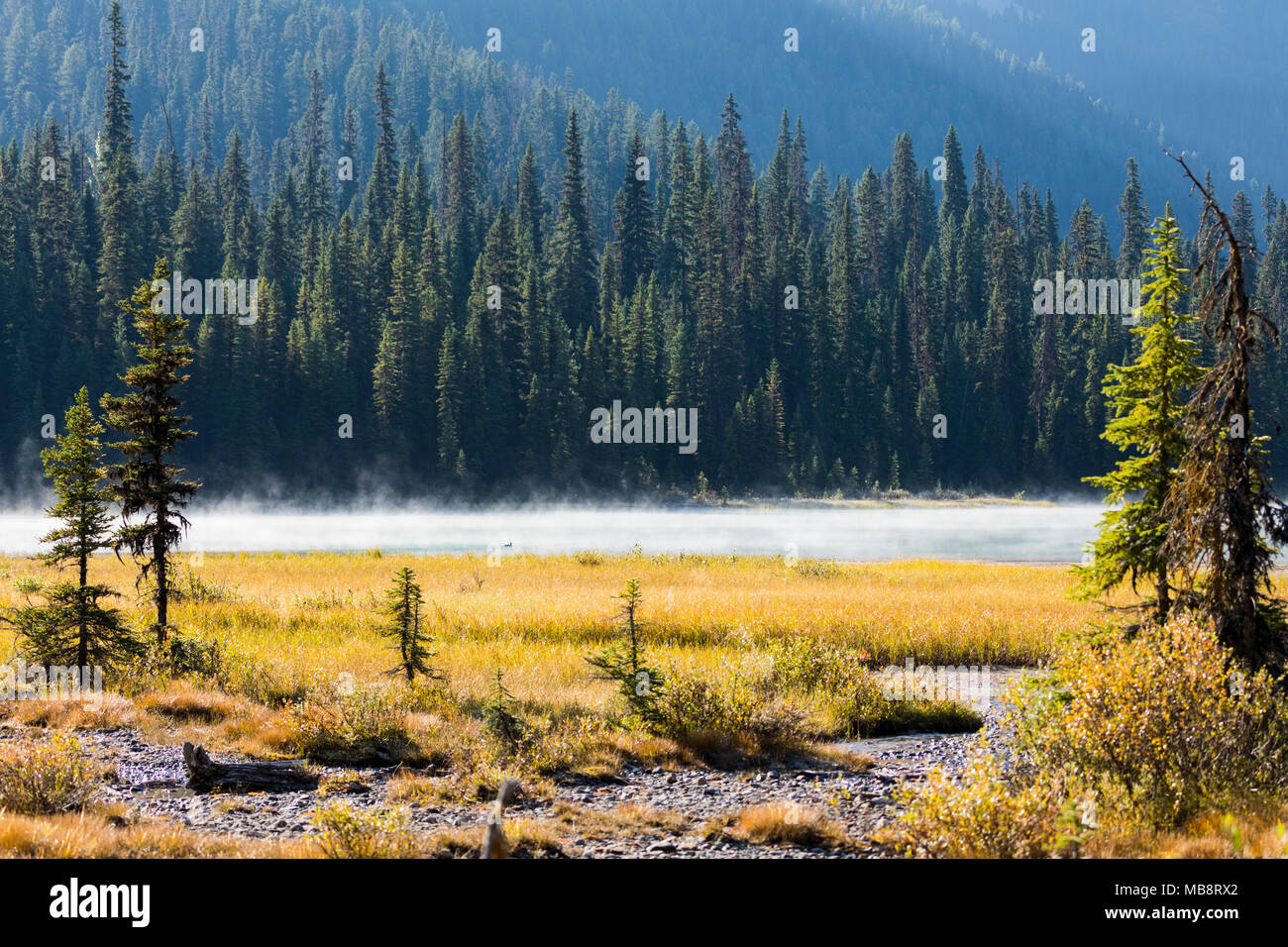 Alluvial mountains hi-res stock photography and images - Alamy