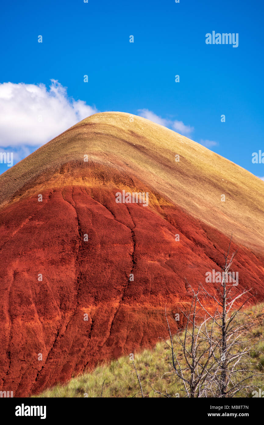 One of the Oregon Painted Hills. Bold red sandy soil makes a single ...