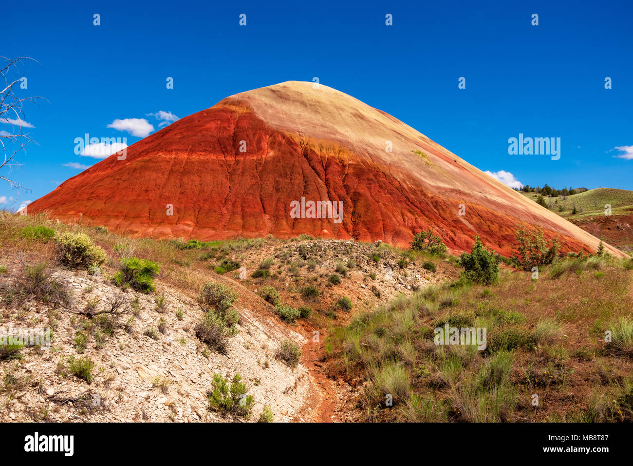 One of the Oregon Painted Hills. Bold red sandy soil makes a single ...