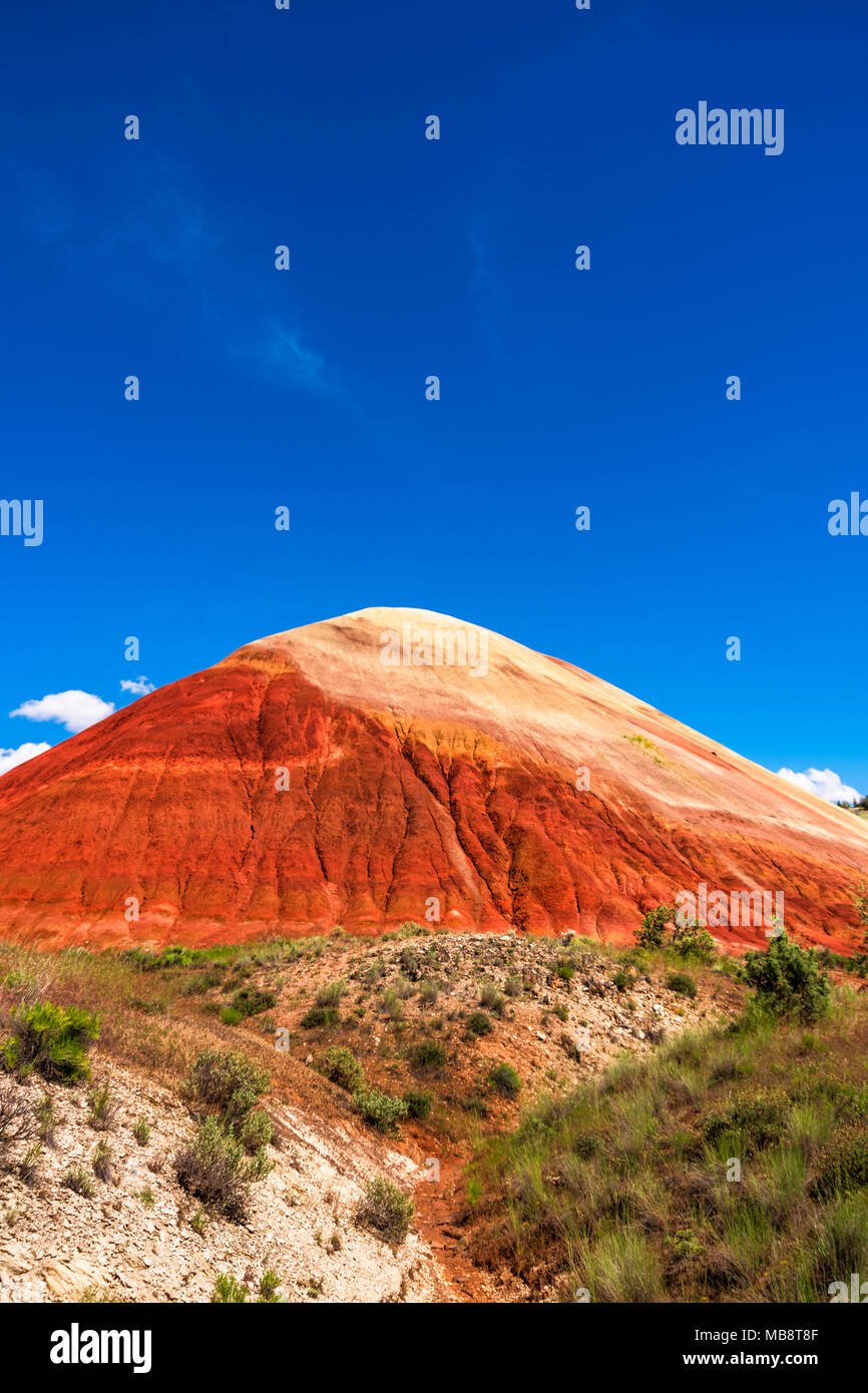 One of the Oregon Painted Hills. Bold red sandy soil makes a single ...