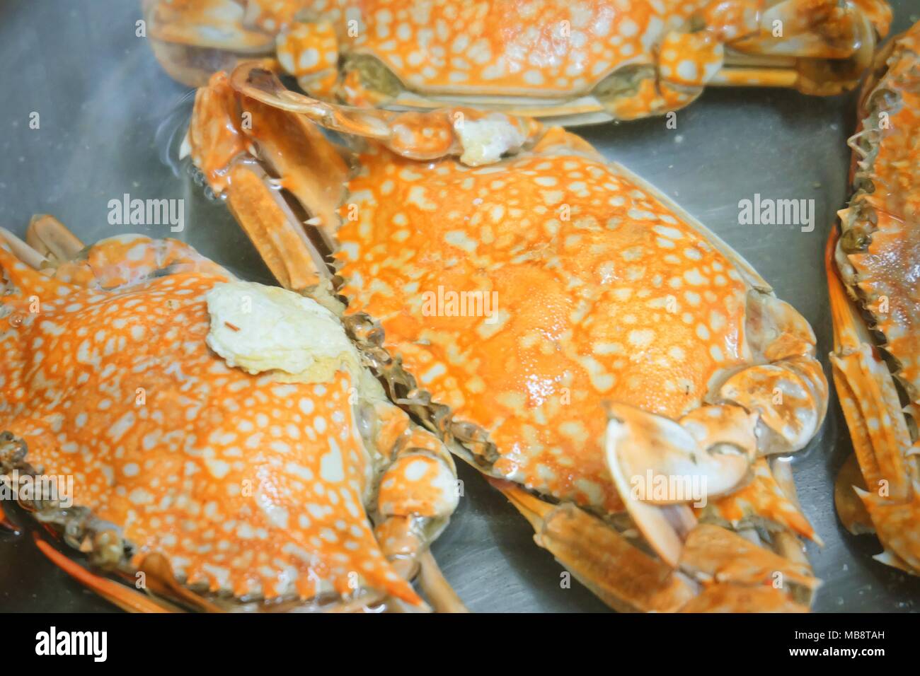 Cuisine and Food, Steamed Blue Crab. One of The Most Famous Seafood in ...