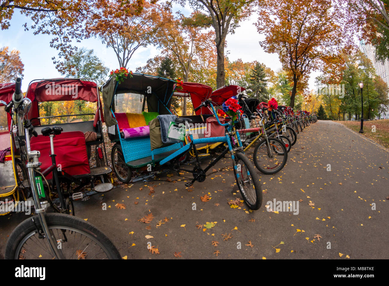 Multiple Colorful Bicycles in a Row in Central Park During Fall Season ...