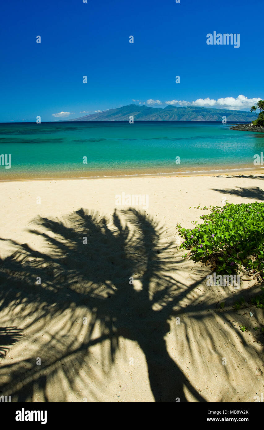Napili coast hi-res stock photography and images - Alamy