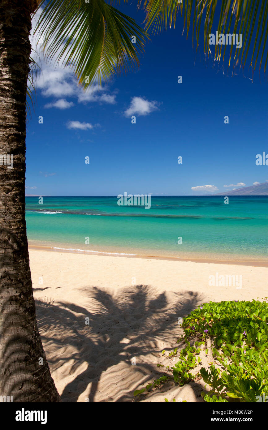 Napili coast hi-res stock photography and images - Alamy