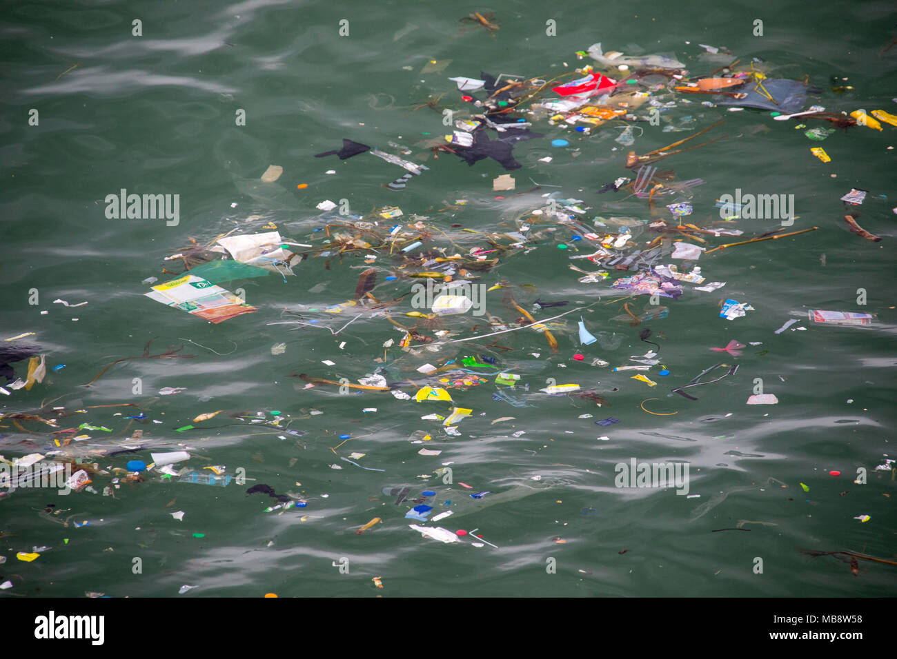 Caribbean coast pollution hi-res stock photography and images - Alamy