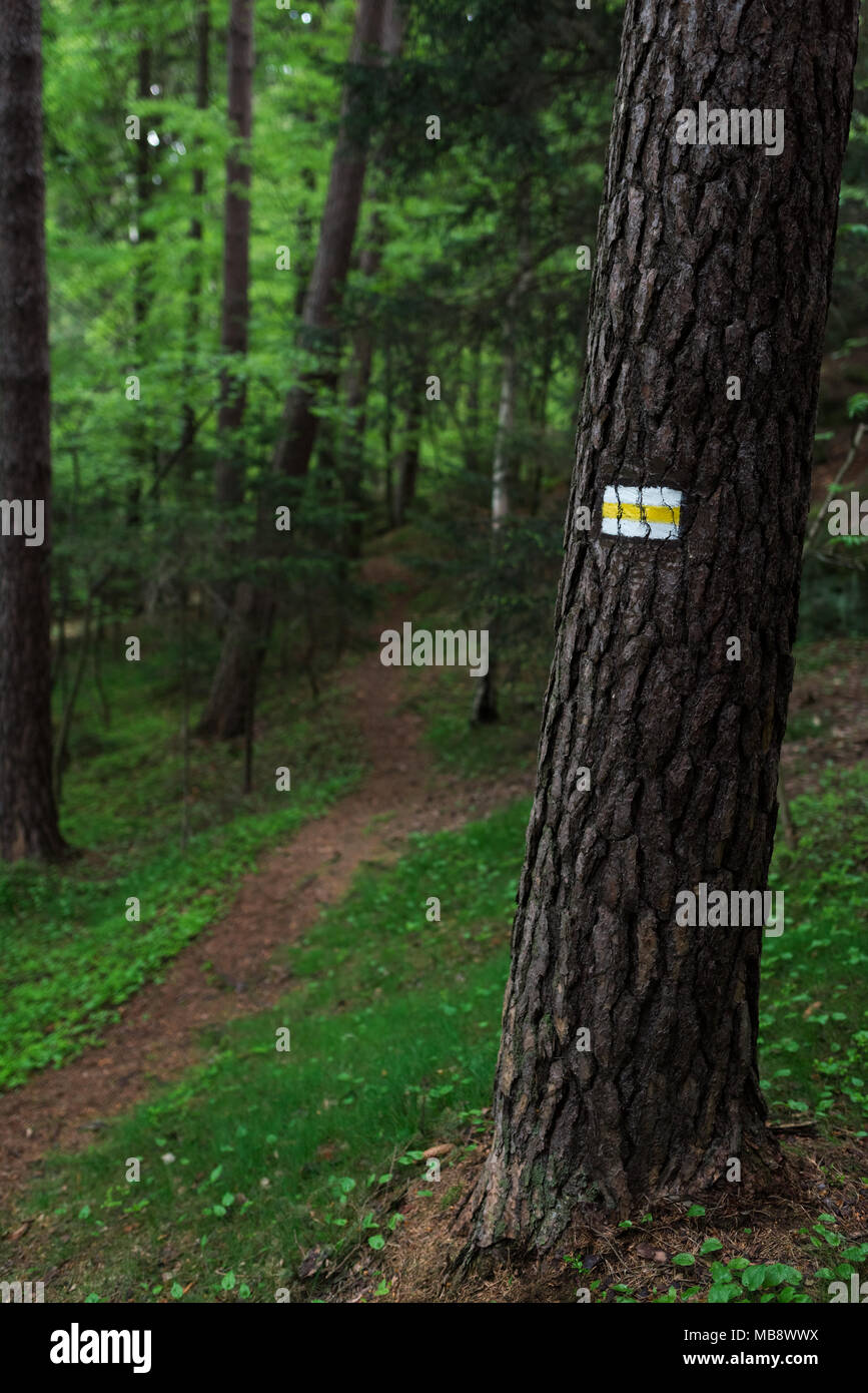 Yellow sign of a tourist trail on the tree in the middle of the forest ...