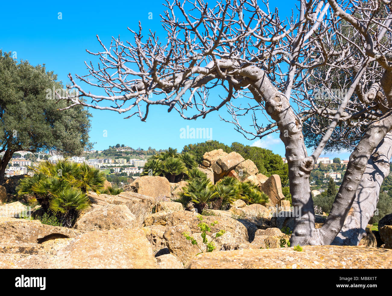 Sanctuary of zeus hi-res stock photography and images - Alamy