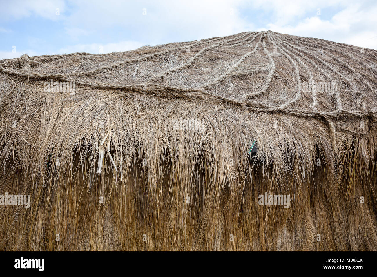 Roof of hut or hut of straw used for shelter in the Andean highlands ...