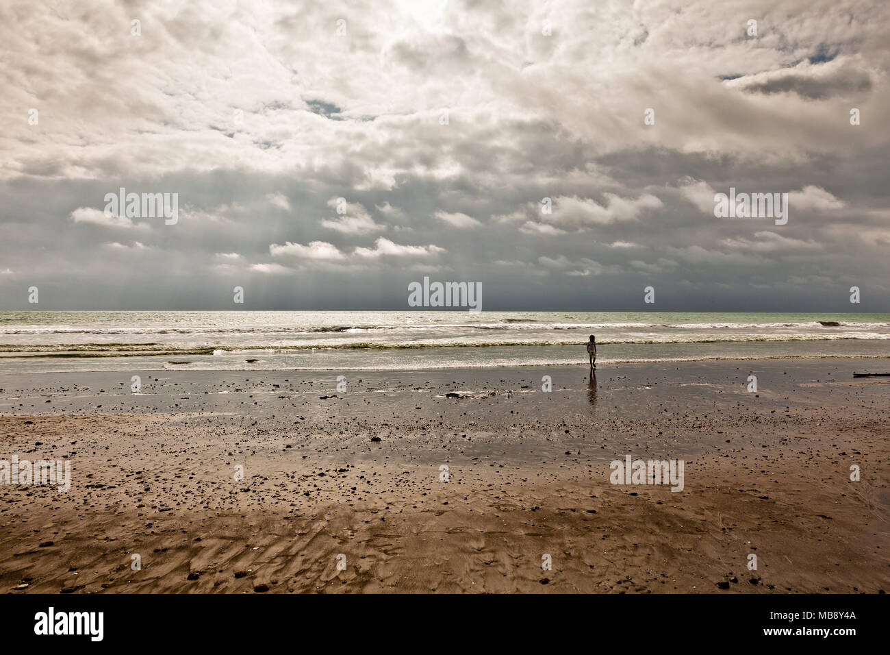 Seep sand hi-res stock photography and images - Alamy