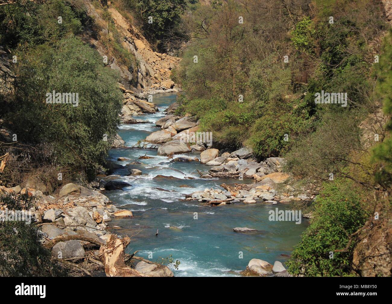 Green blue water of the river Langtang Khola, Langtang National Park ...