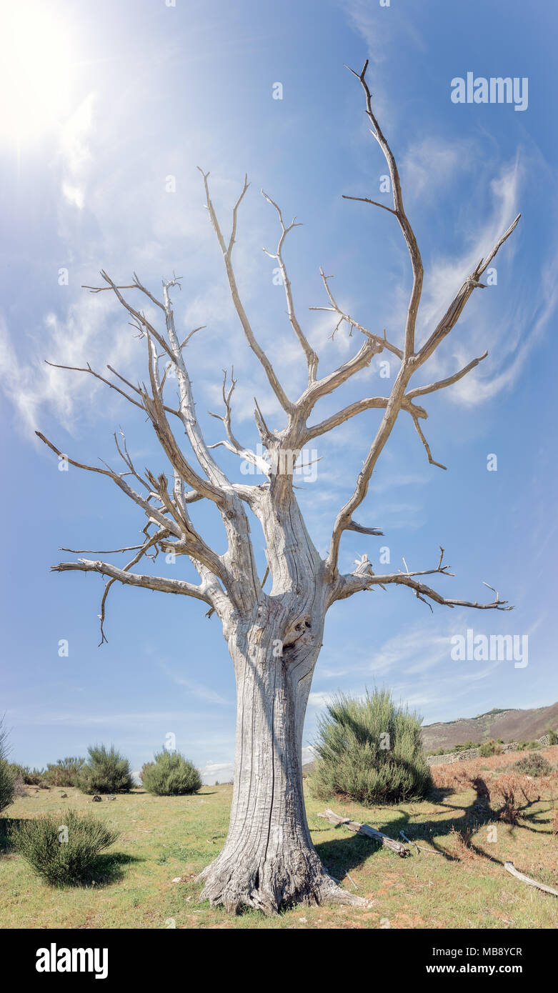Natural drought hi-res stock photography and images - Alamy