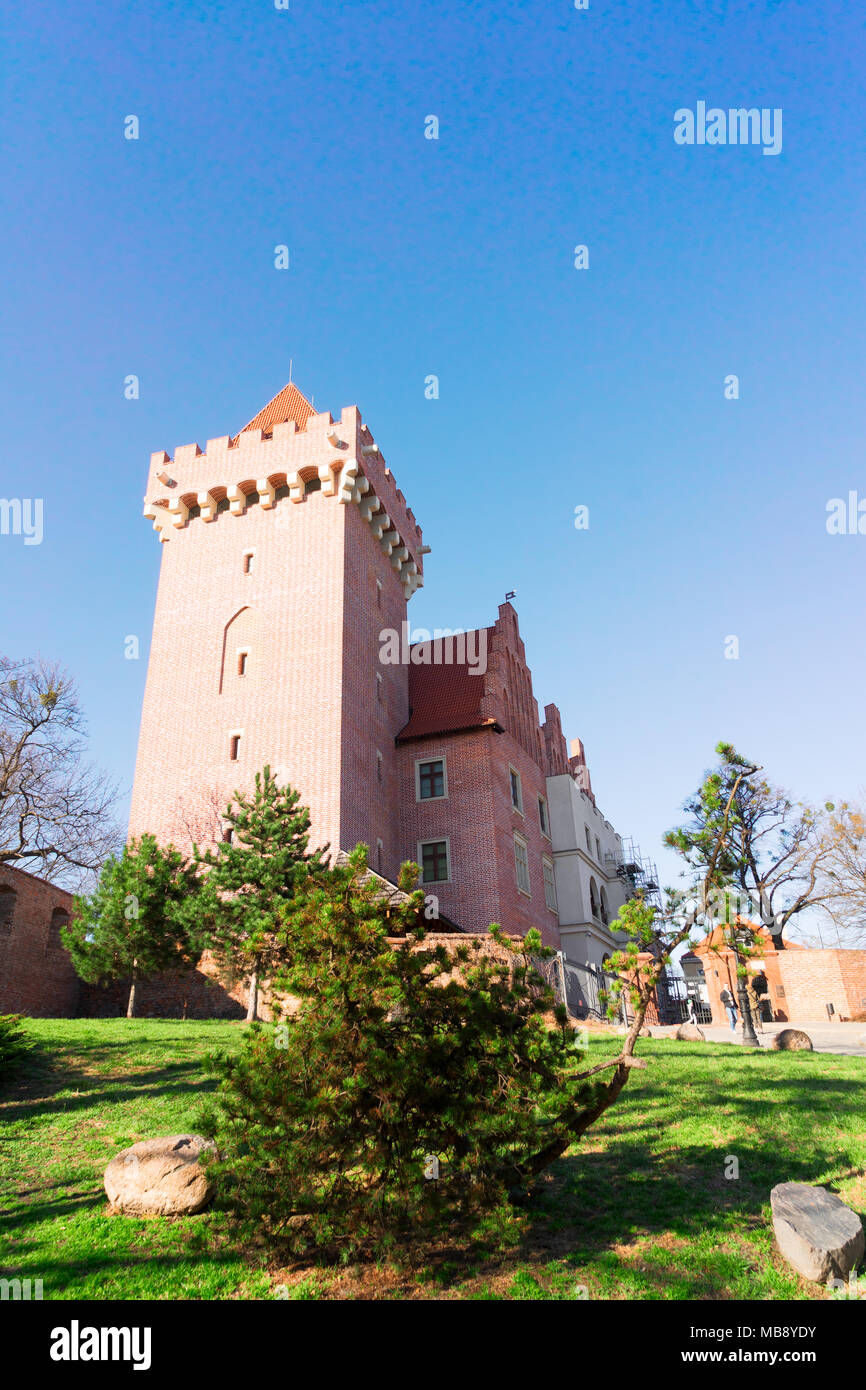 tower of Royal castle of Poznan, Poland Stock Photo - Alamy