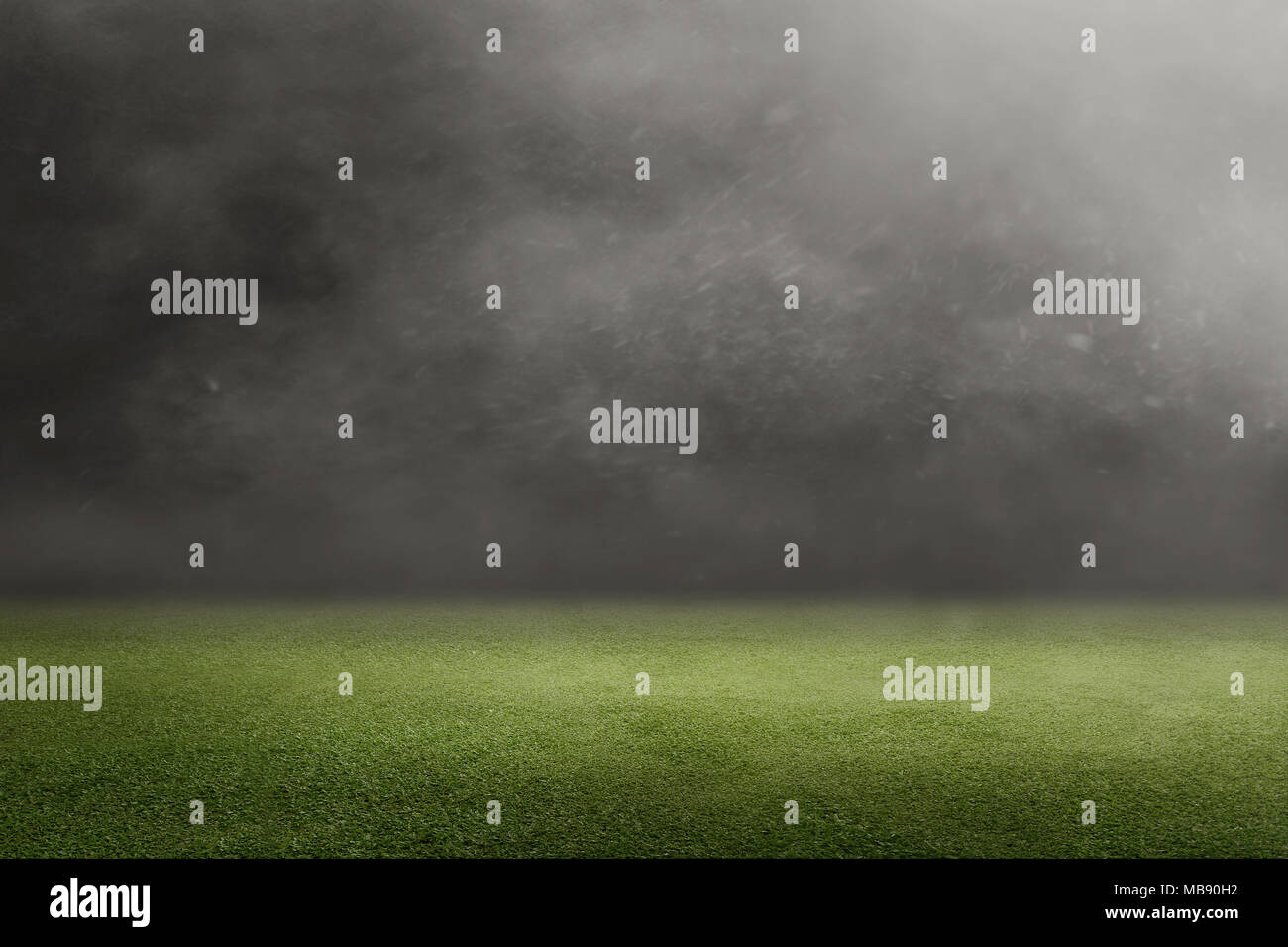 Soccer field with green grass on stadium Stock Photo - Alamy