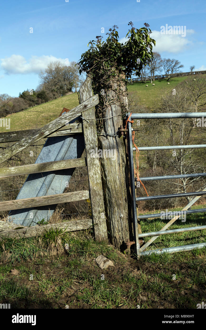 Opening in hedge hi-res stock photography and images - Alamy