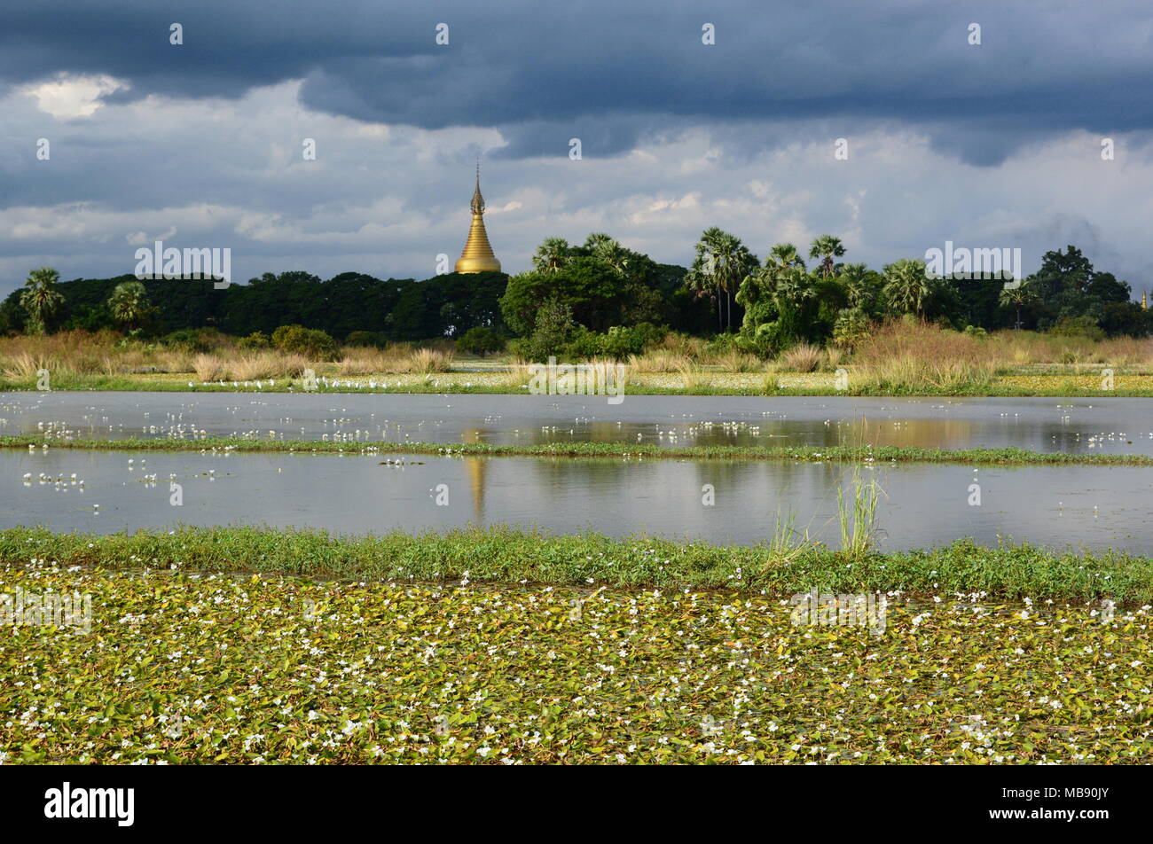 Burmese landscape. Inwa. Mandalay region. Myanmar Stock Photo - Alamy