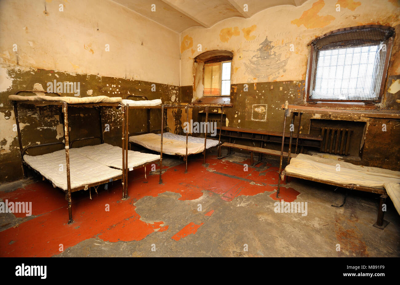 Bunks, mattresses, window with bars in an empty cell for adult ...