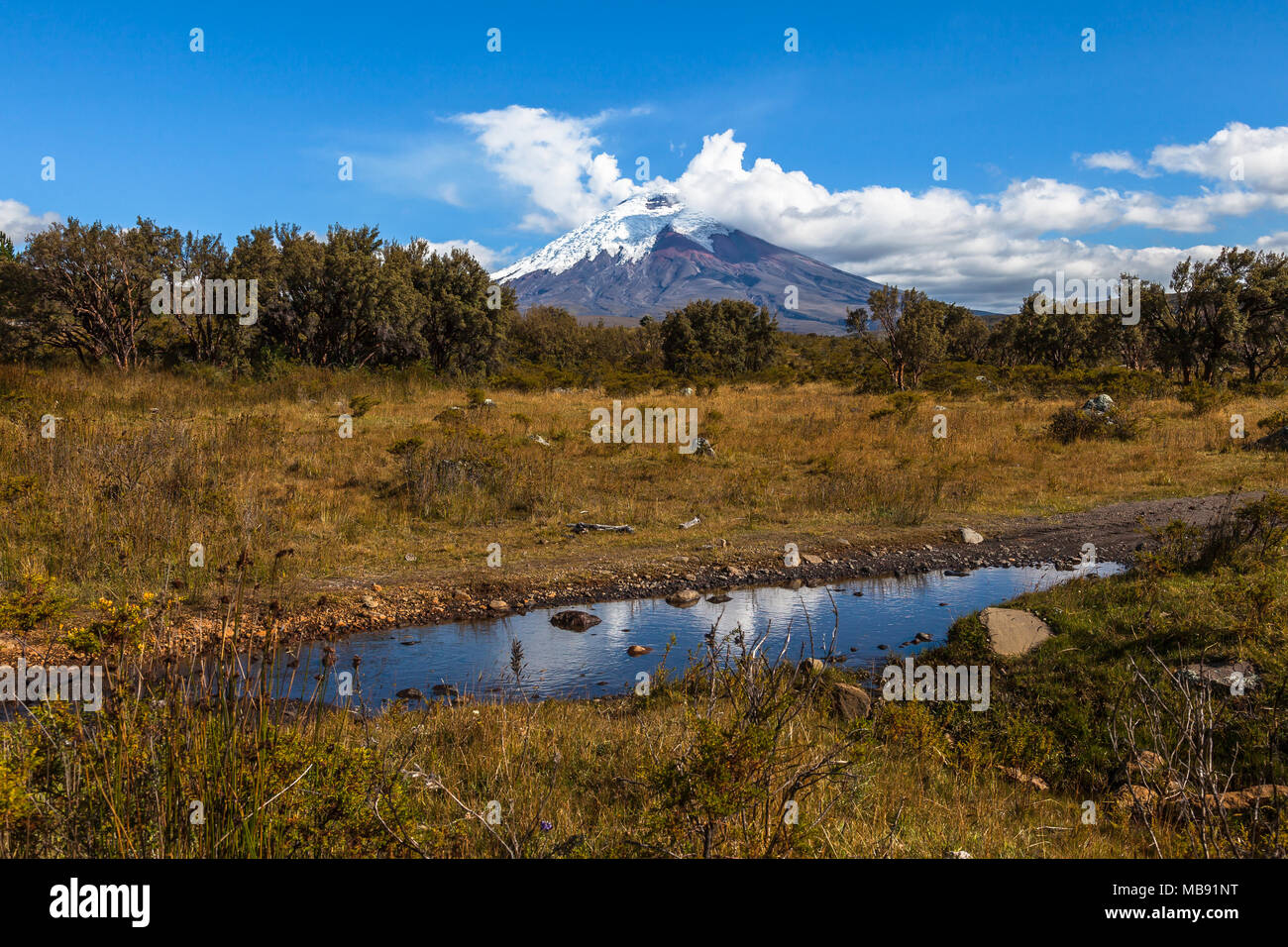 Puddle of water in the Cotopaxi National Park, with volcano in the ...