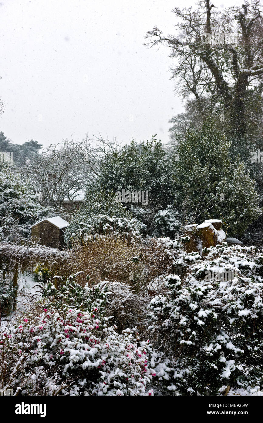 2018 spring snow storm named 'The Beast from the East' brought heave ...