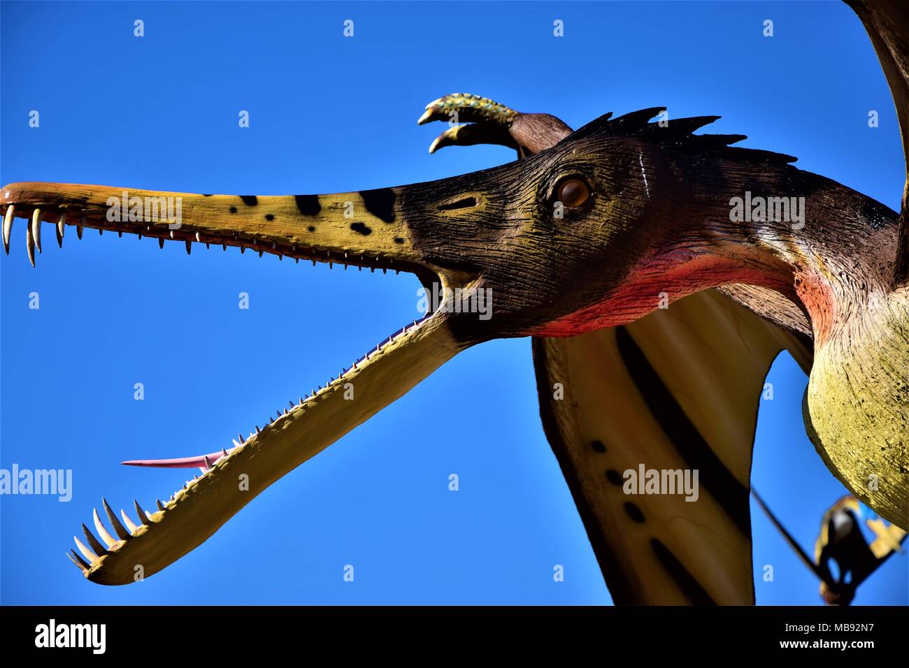 Flying dinosaur hi-res stock photography and images - Alamy