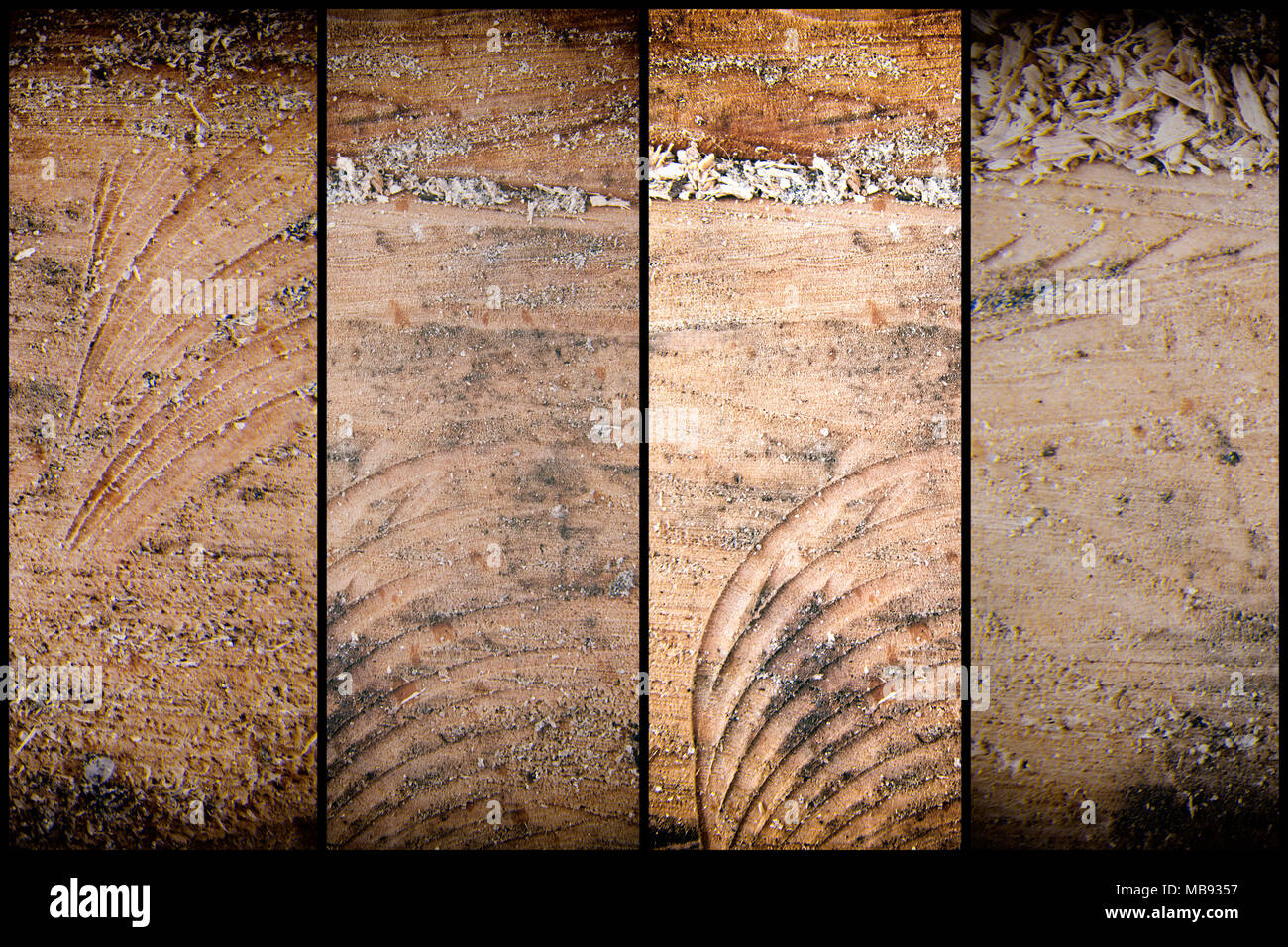 Stump wooden structure for texture or background Stock Photo - Alamy