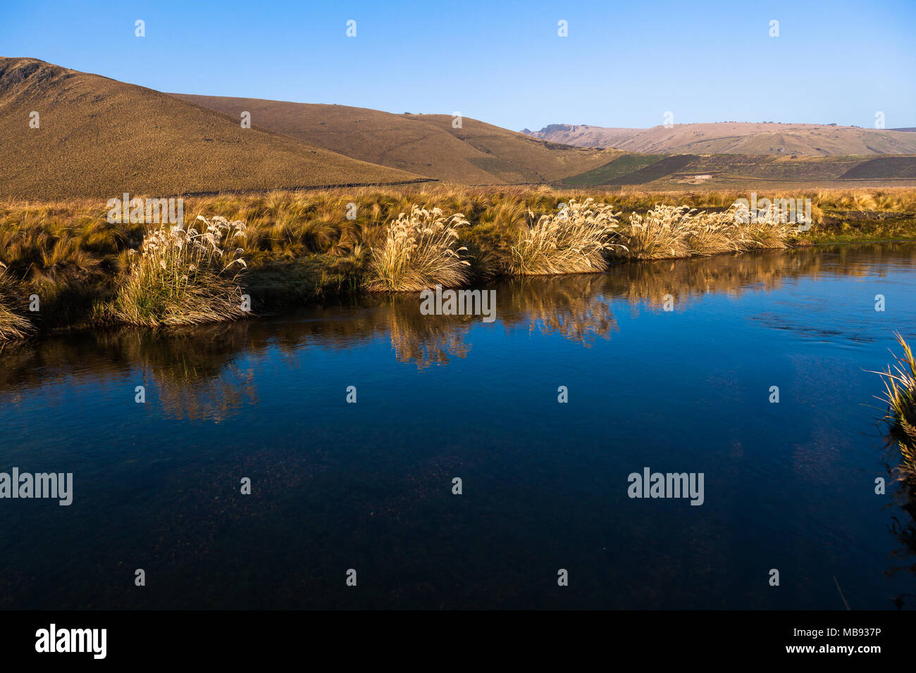 Pajonales gold with blue river at dawn Stock Photo - Alamy