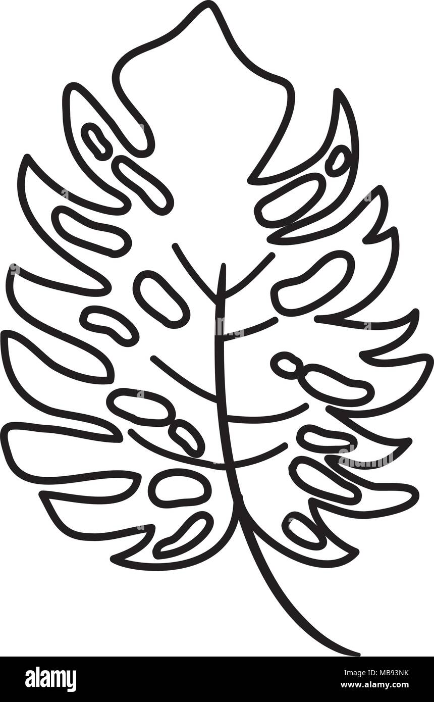 Lush plants line Black and White Stock Photos & Images - Alamy