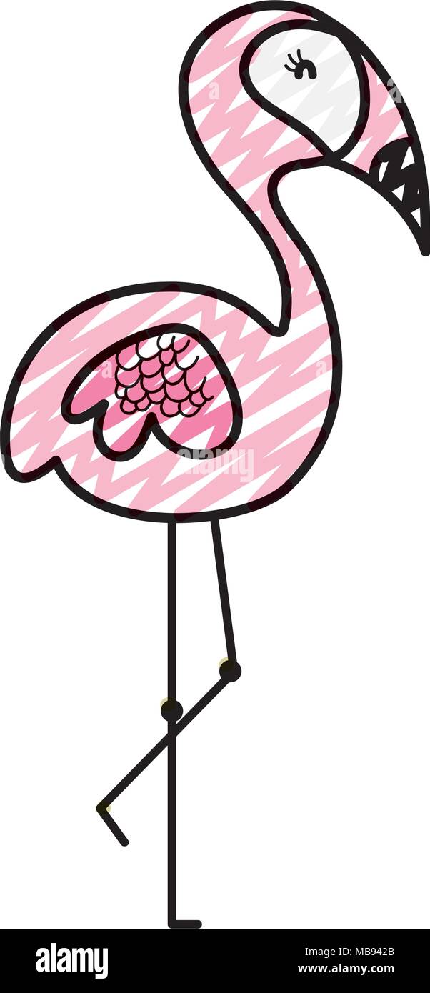 doodle exotic flamingo nature bird animal Stock Vector Image & Art - Alamy