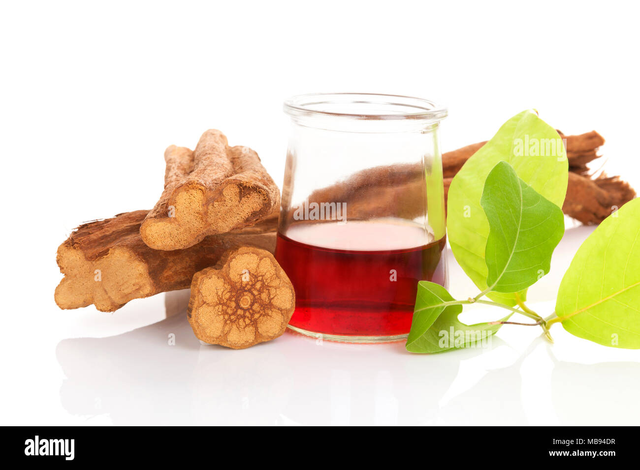 Ayahuasca medicine. Banisteriopsis caapi wood, psychotria leaves and ...