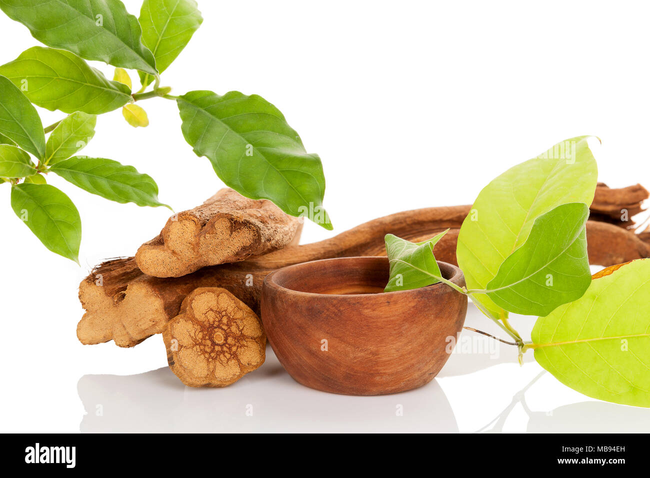 Ayahuasca medicine. Banisteriopsis caapi wood, psychotria leaves and ...