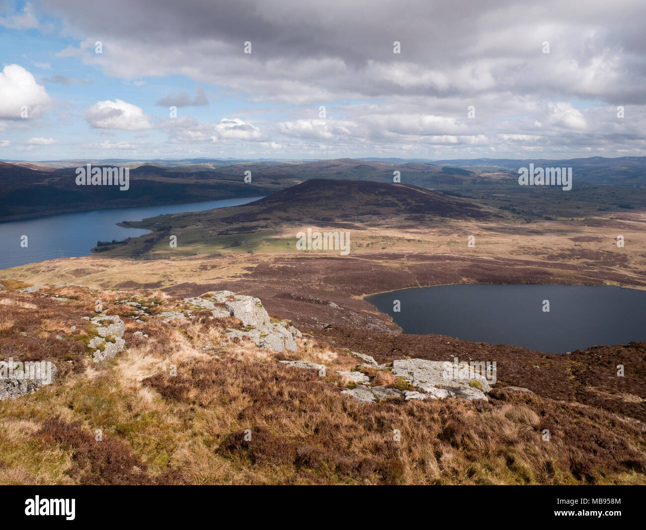 The reservoirs of Llyn Celyn and Llyn Arenig Fawr, viewed from the ...